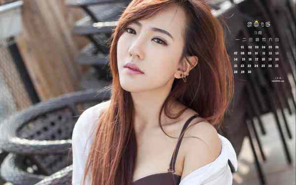 更优雅的Wordpress主题模板_WP中文主题_zibll主题_子比主题官方演示