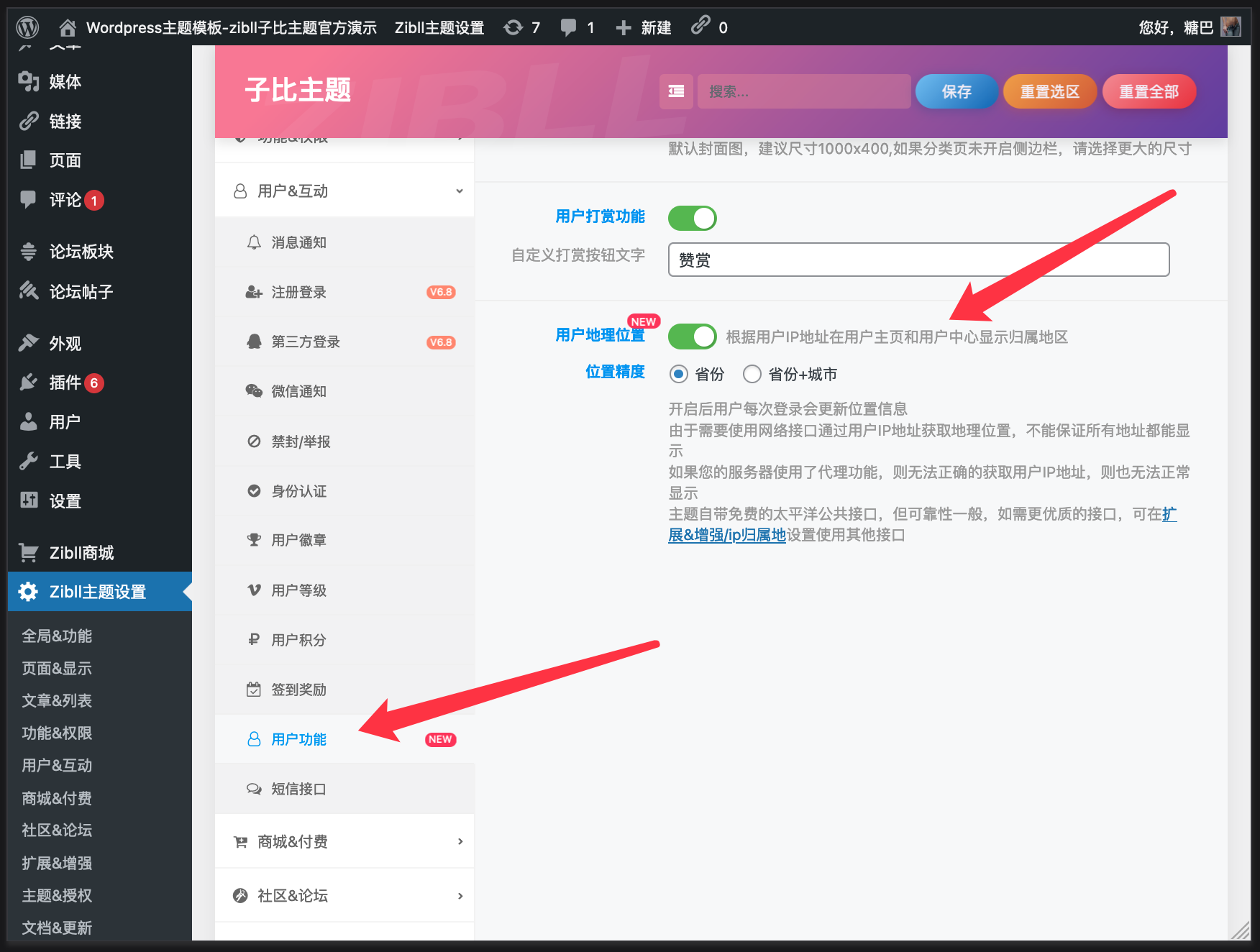 wordpress使用zibll主题为网站添加评论IP归属地用户IP地址功能详细教程-WordPress主题模板-zibll子比主题
