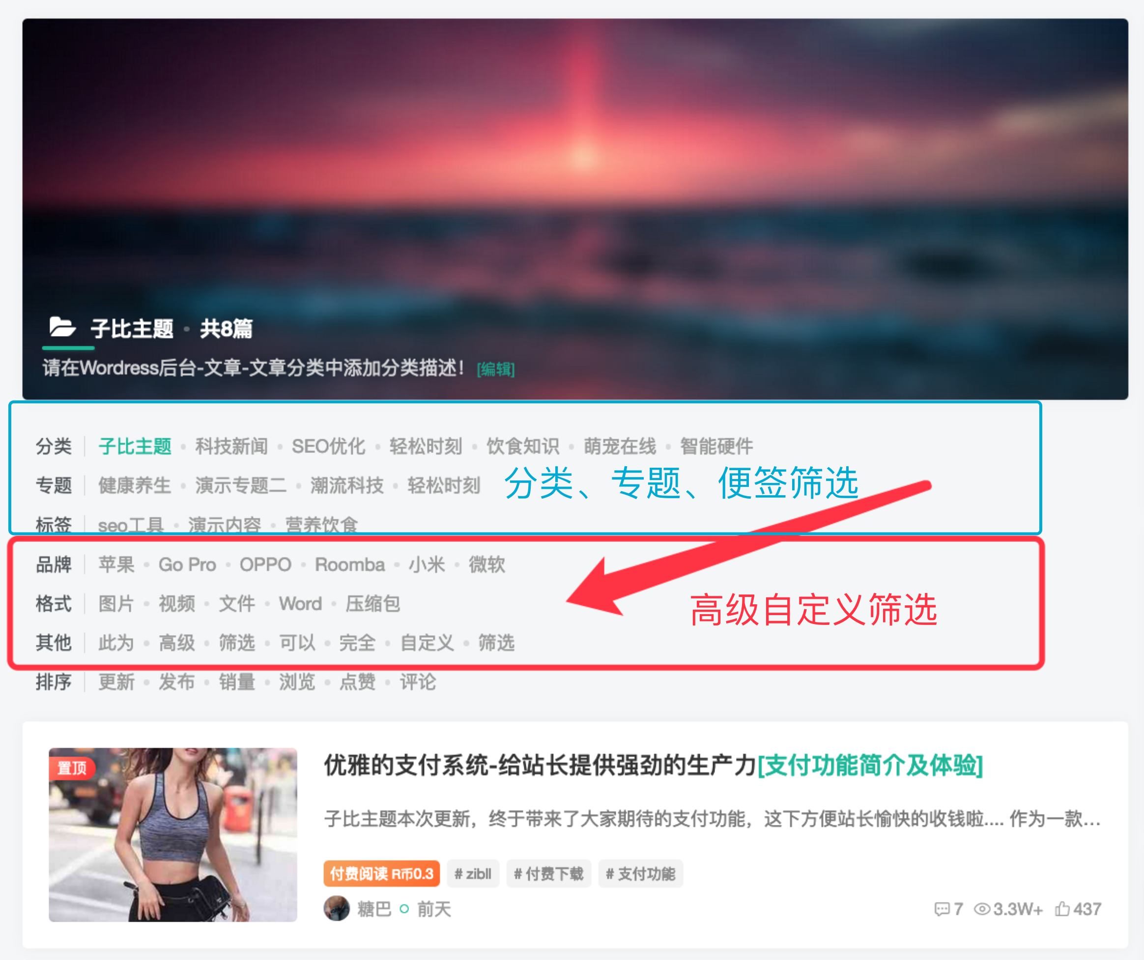 wordpress使用zibll子比主题为文章添加高级筛选分类功能教程-WordPress主题模板-zibll子比主题